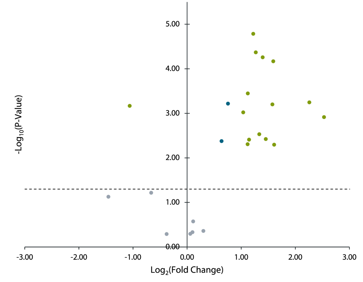 Applications – GenNext Technologies